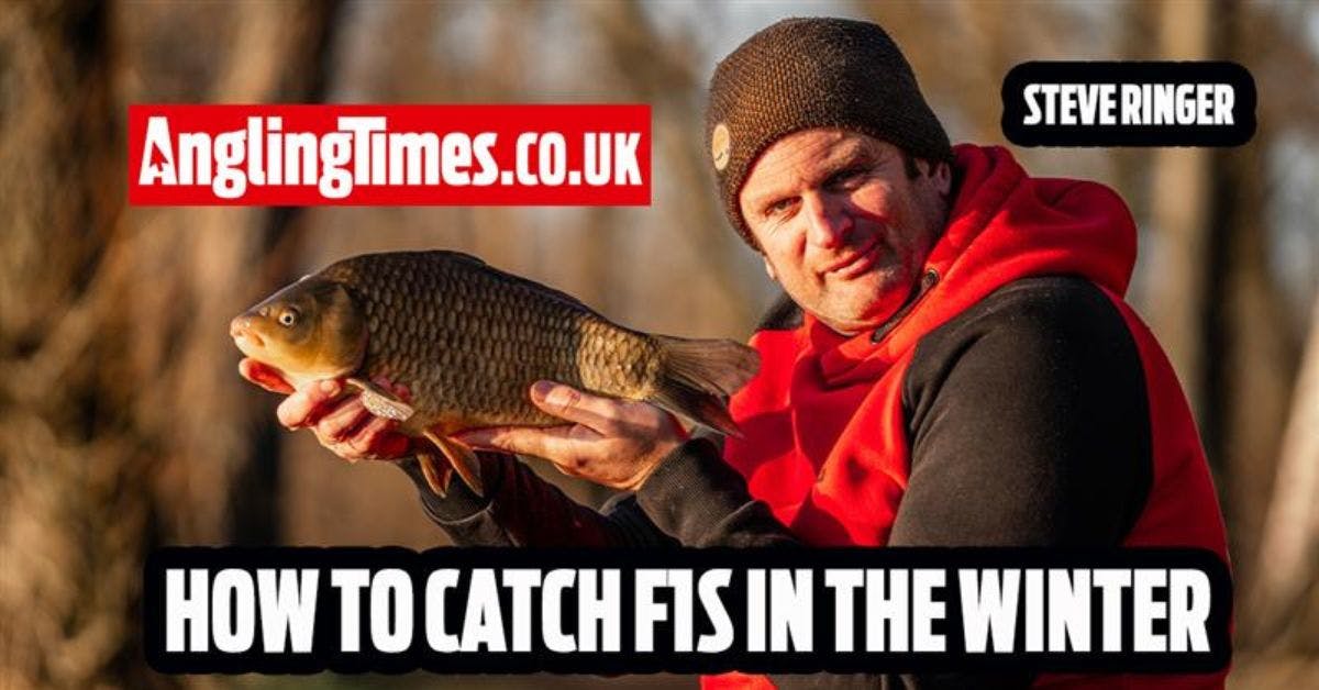 How to catch F1s in winter | Steve Ringer | Angling Times