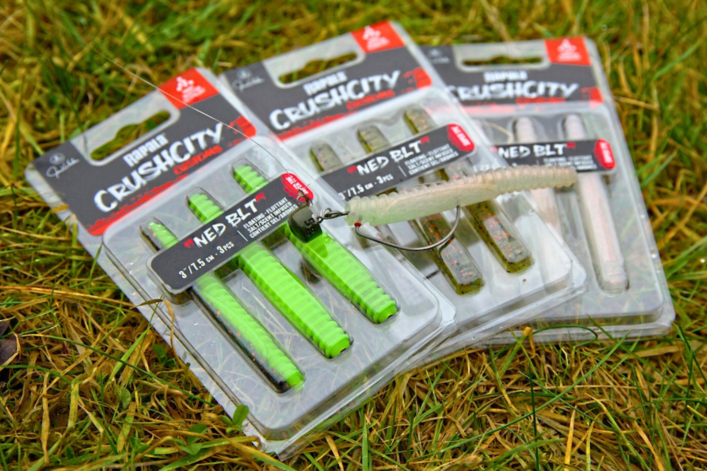 Get on the Ned rig for big perch | Angling Times