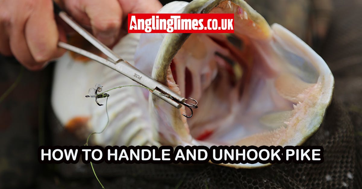 How to safely handle and unhook pike | Angling Times