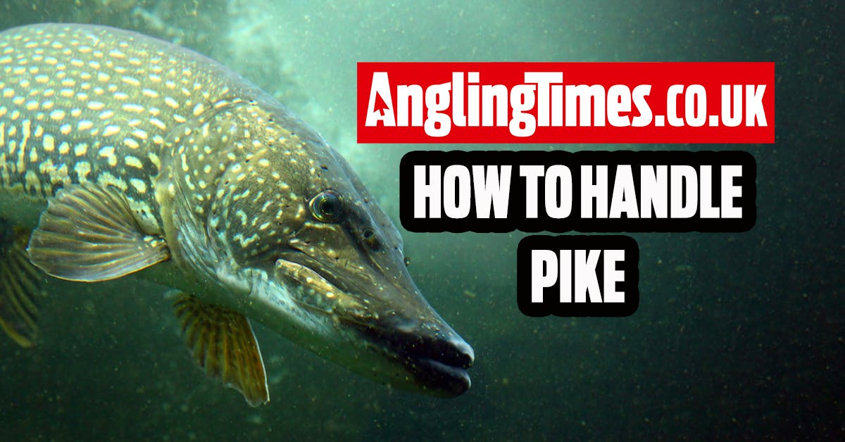 How to handle pike | Angling Times