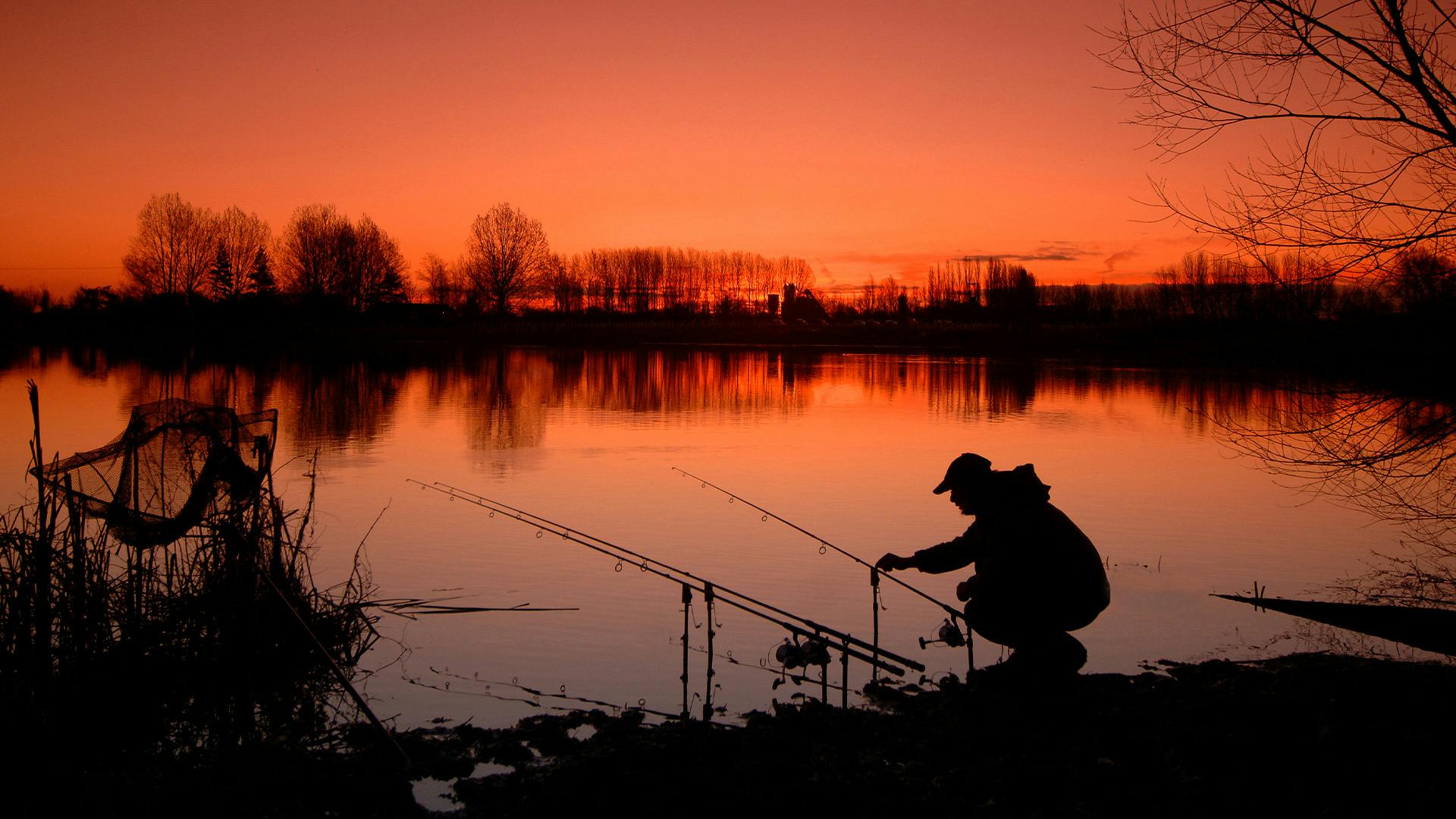 Angling laws: Is it time for a rethink? | Angling Times