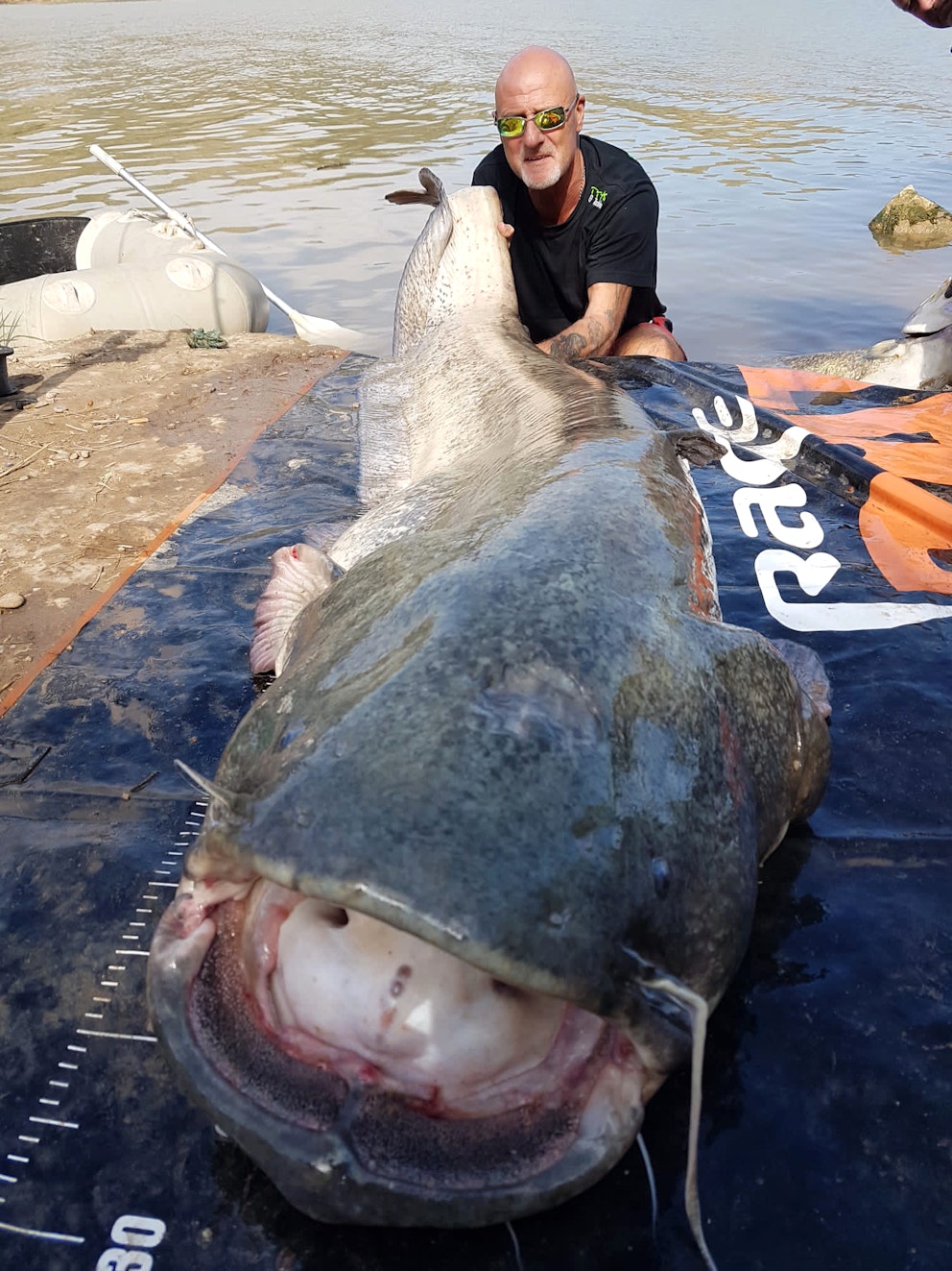 Meet the WORLD’S most successful big-fish hunter! | Angling Times