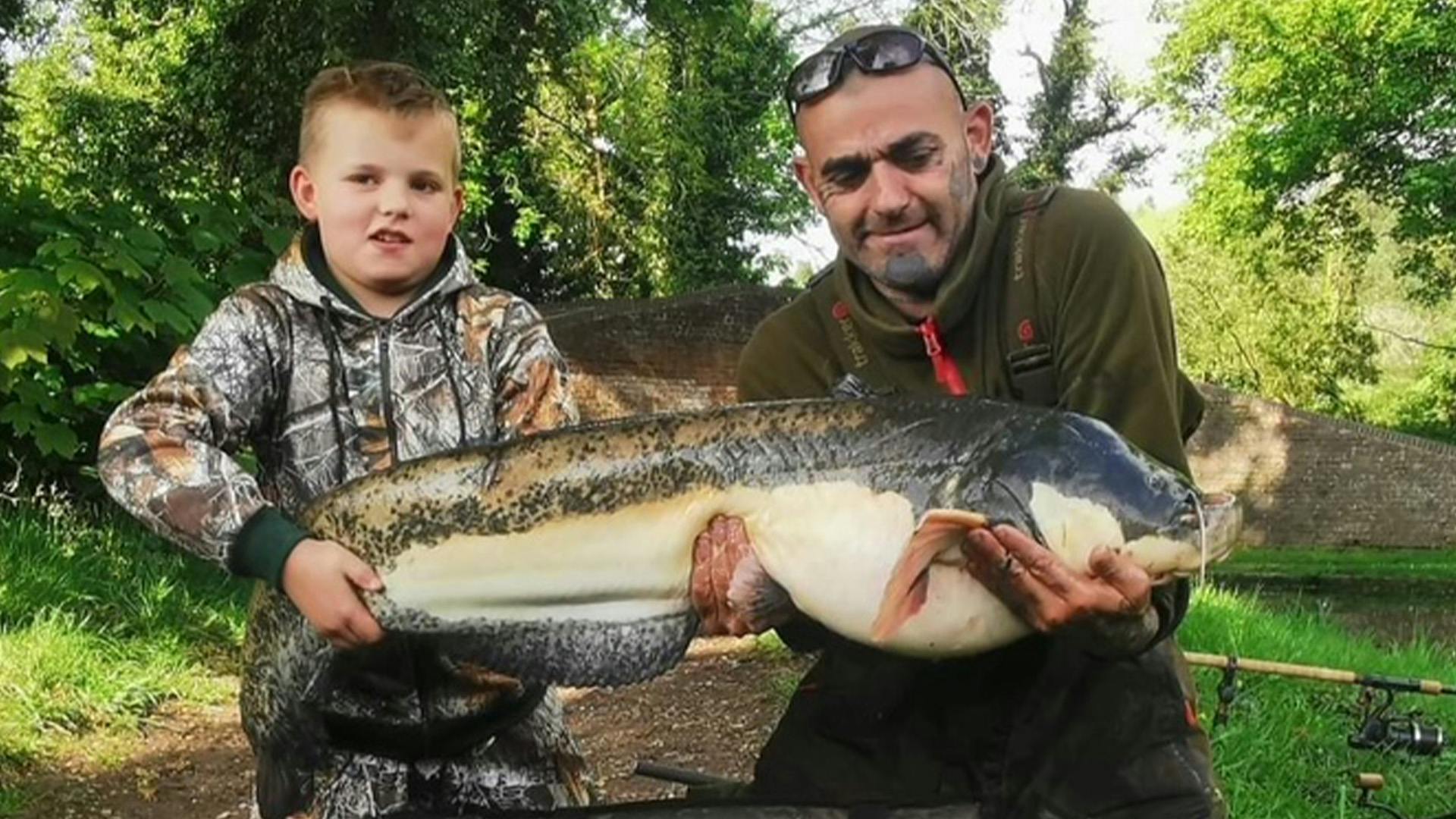 mandarin-catfish-canal.jpg?format=jpg&quality=80&width=960&height=540 ...