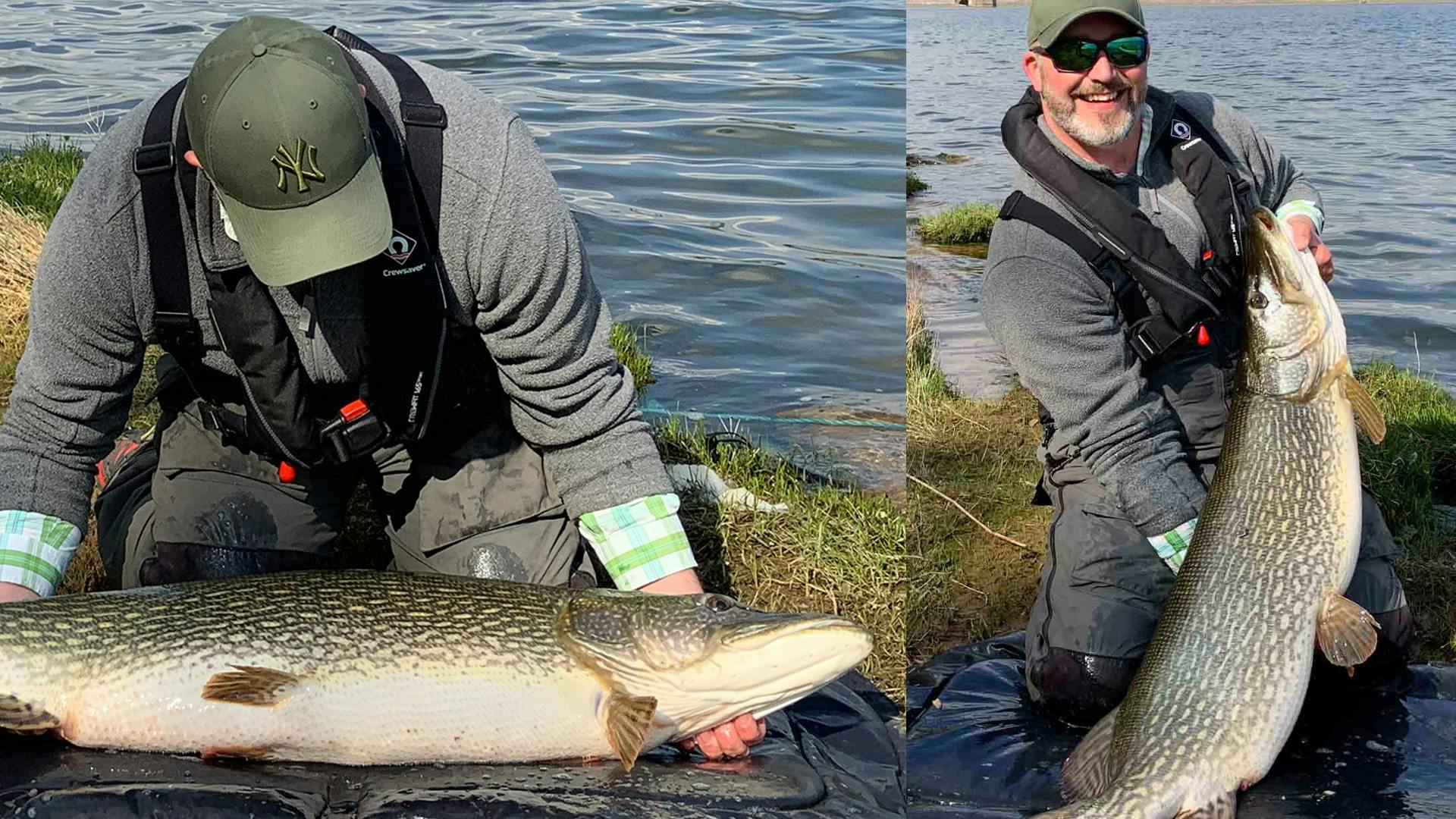Giant 41lb-plus pike is landed on a fly after 20-minute battle ...