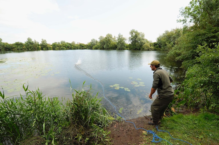 How to create a perfect swim for tench