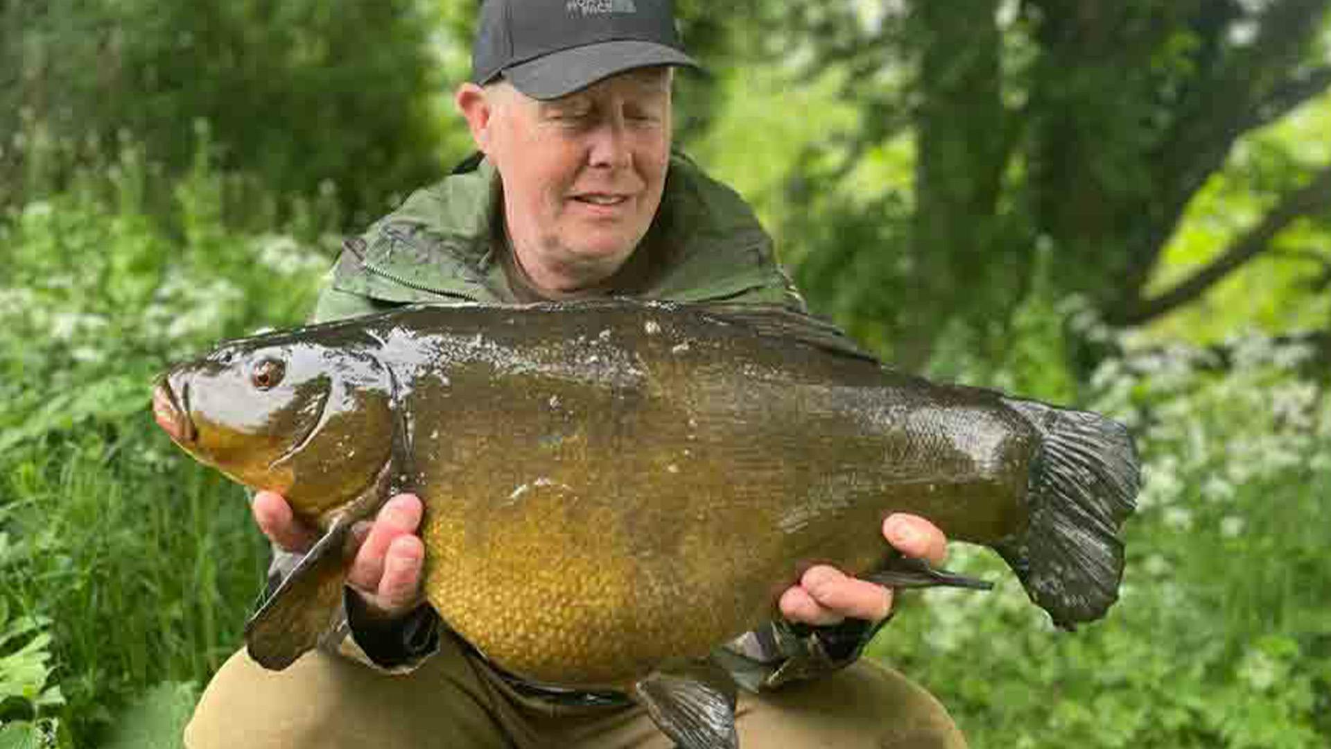 Biggest tench of the season caught using traditional tactics | Angling ...