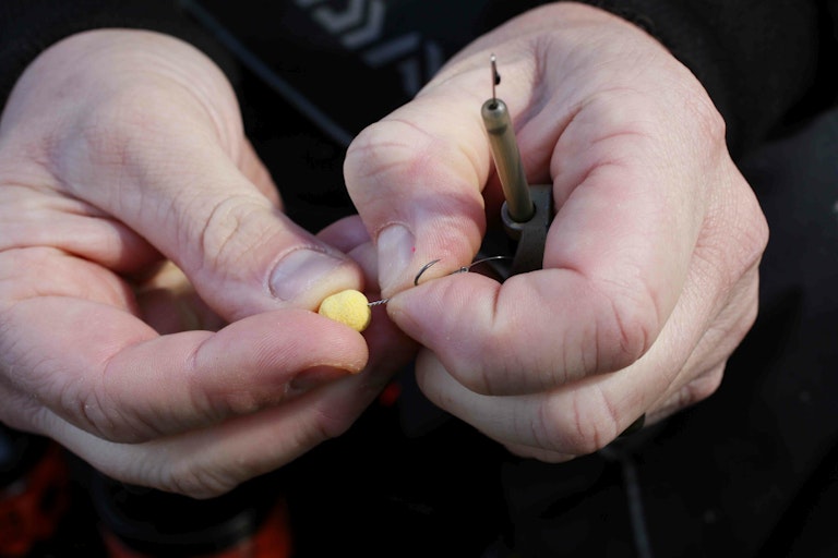 Choose the right hair rig every time | Steve Ringer | Angling Times