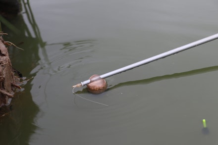 How to gear up for the mudline | Angling Times