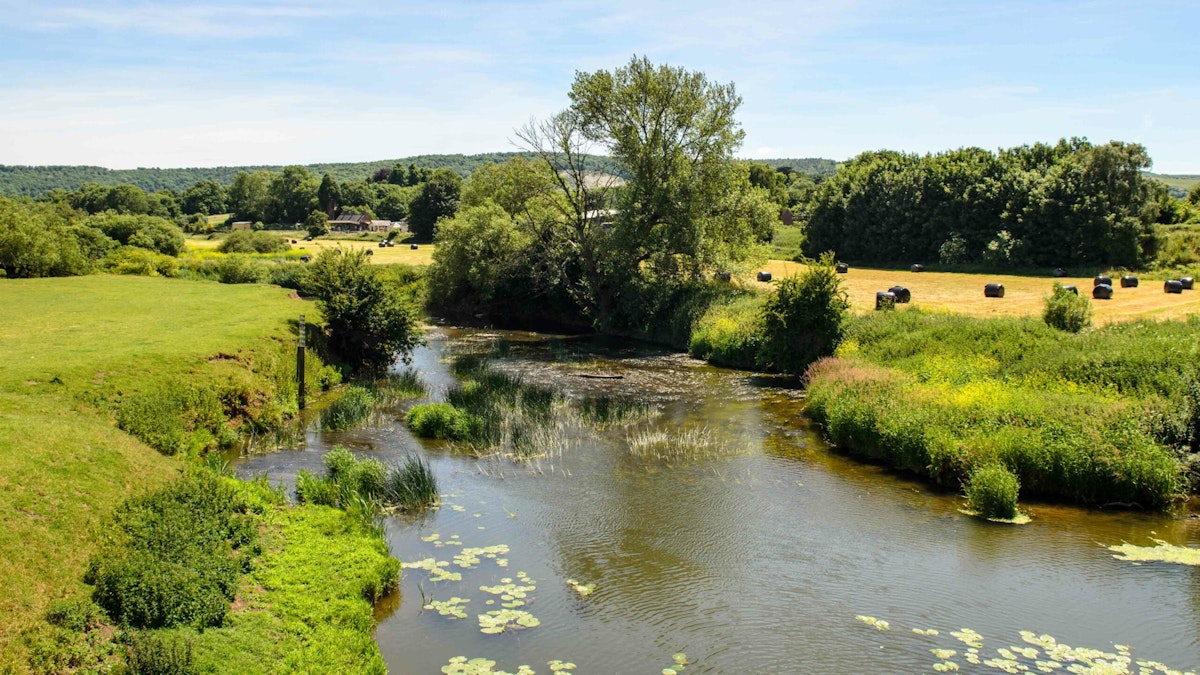 Fishing Near Me: 10 Awesome Summer Rivers | Angling Times