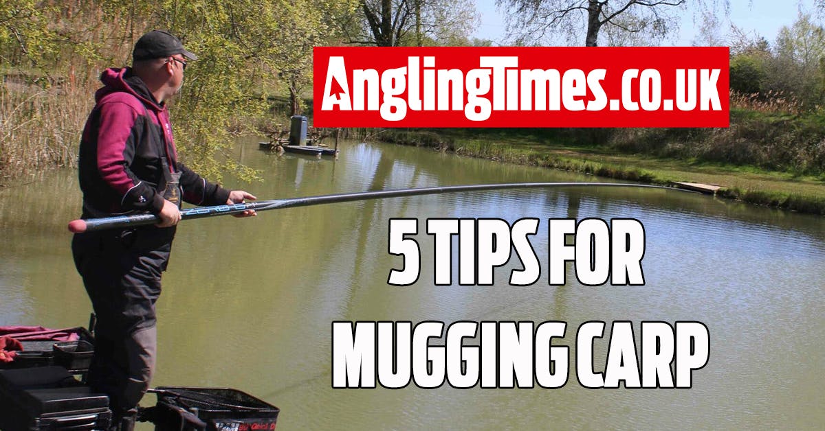5 Tips for mugging | Angling Times