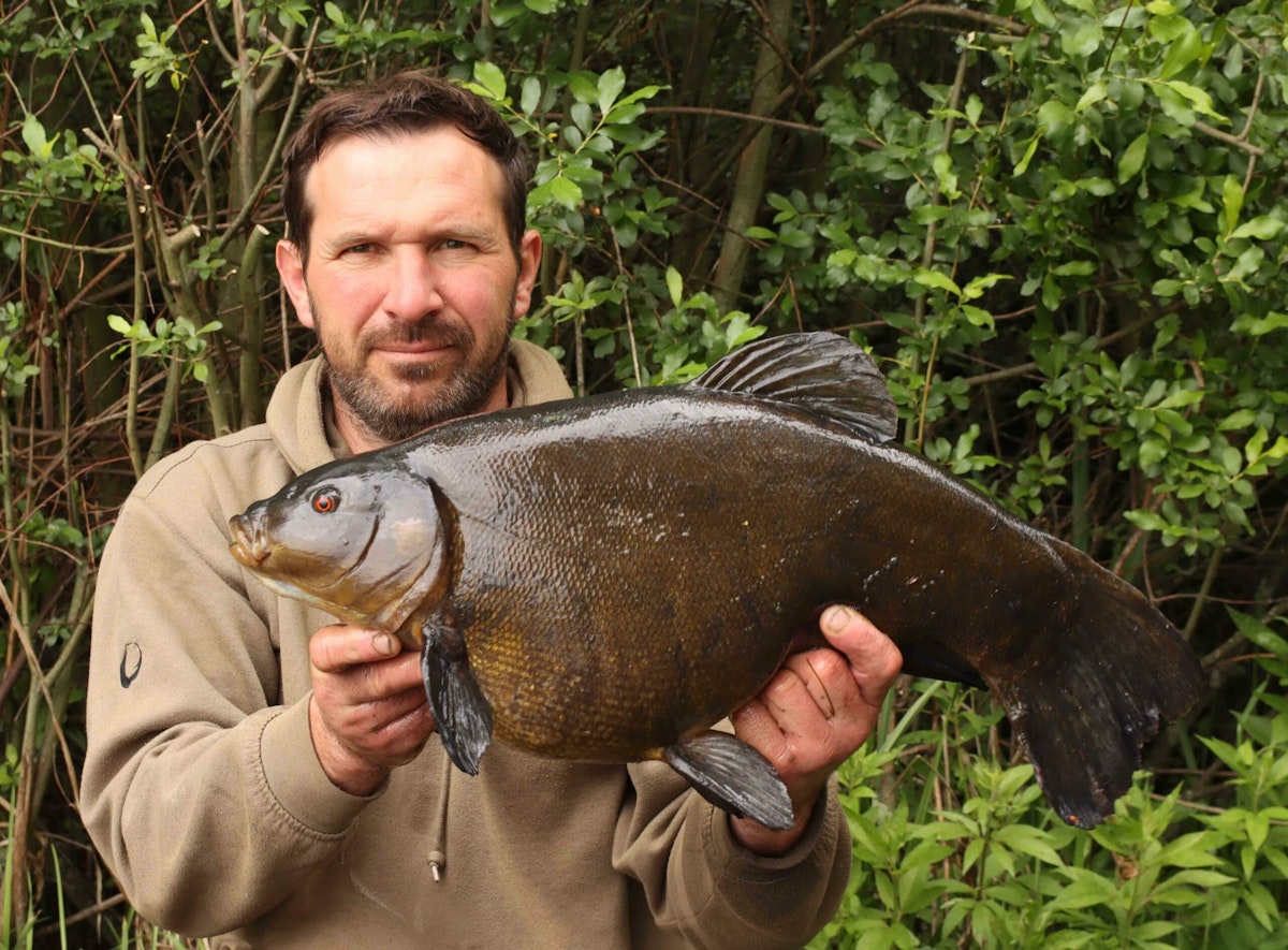 Monster tench landed twice in same trip! | Angling Times