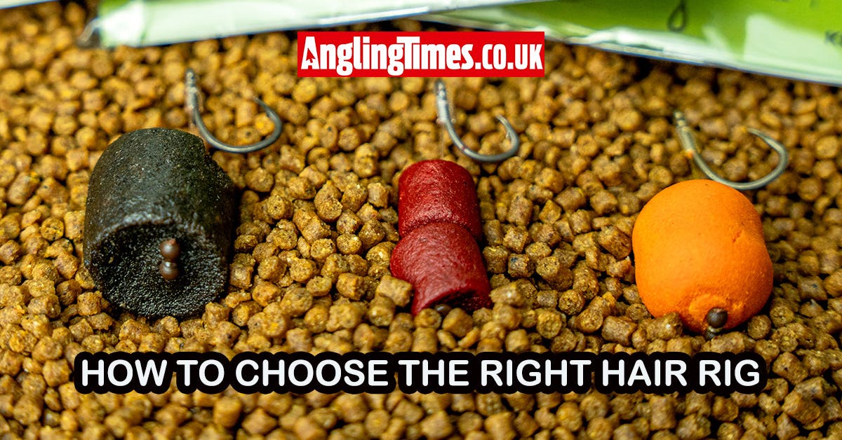Choose the right hair rig every time | Steve Ringer | Angling Times