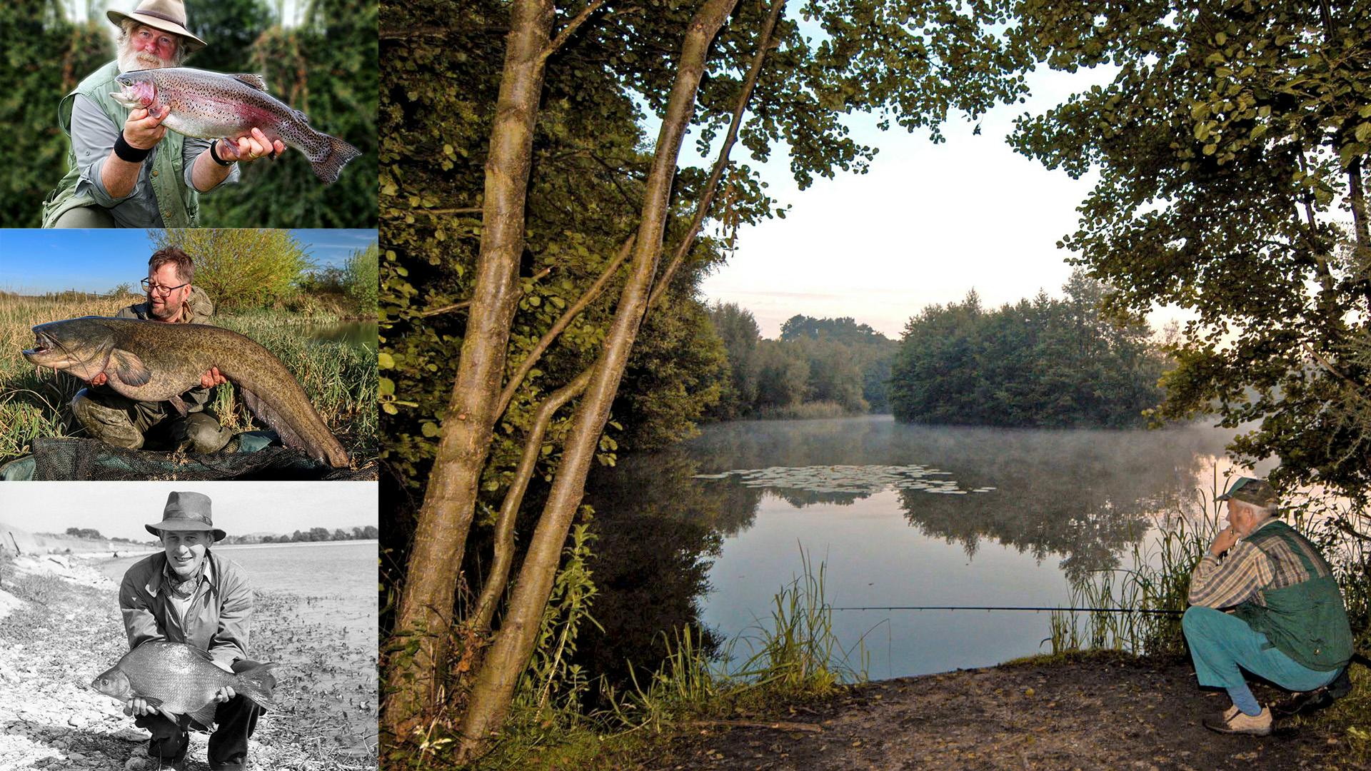 Is the angling all-rounder an endangered species? | Angling Times