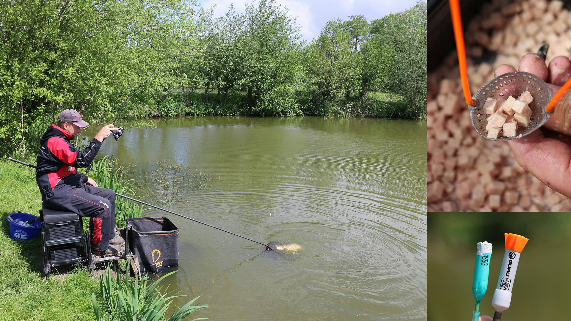 mugging-waggler.jpg?format=jpg&quality=80&width=960&height=540&ratio=16 ...