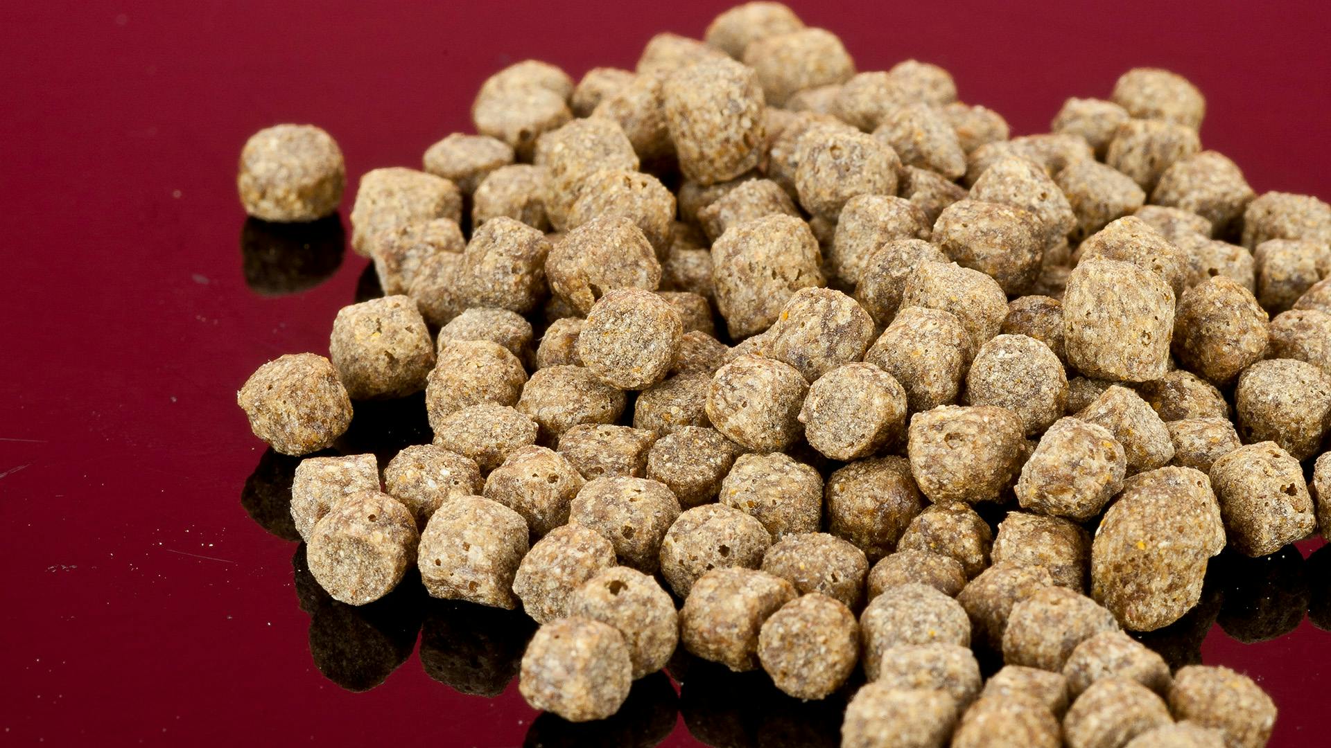 Pellet prices set to SOAR! | Angling Times