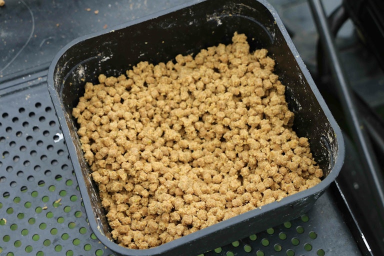 5 Tips for paste fishing | Angling Times