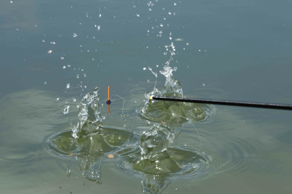 5 Tips for carp shallow | Angling Times