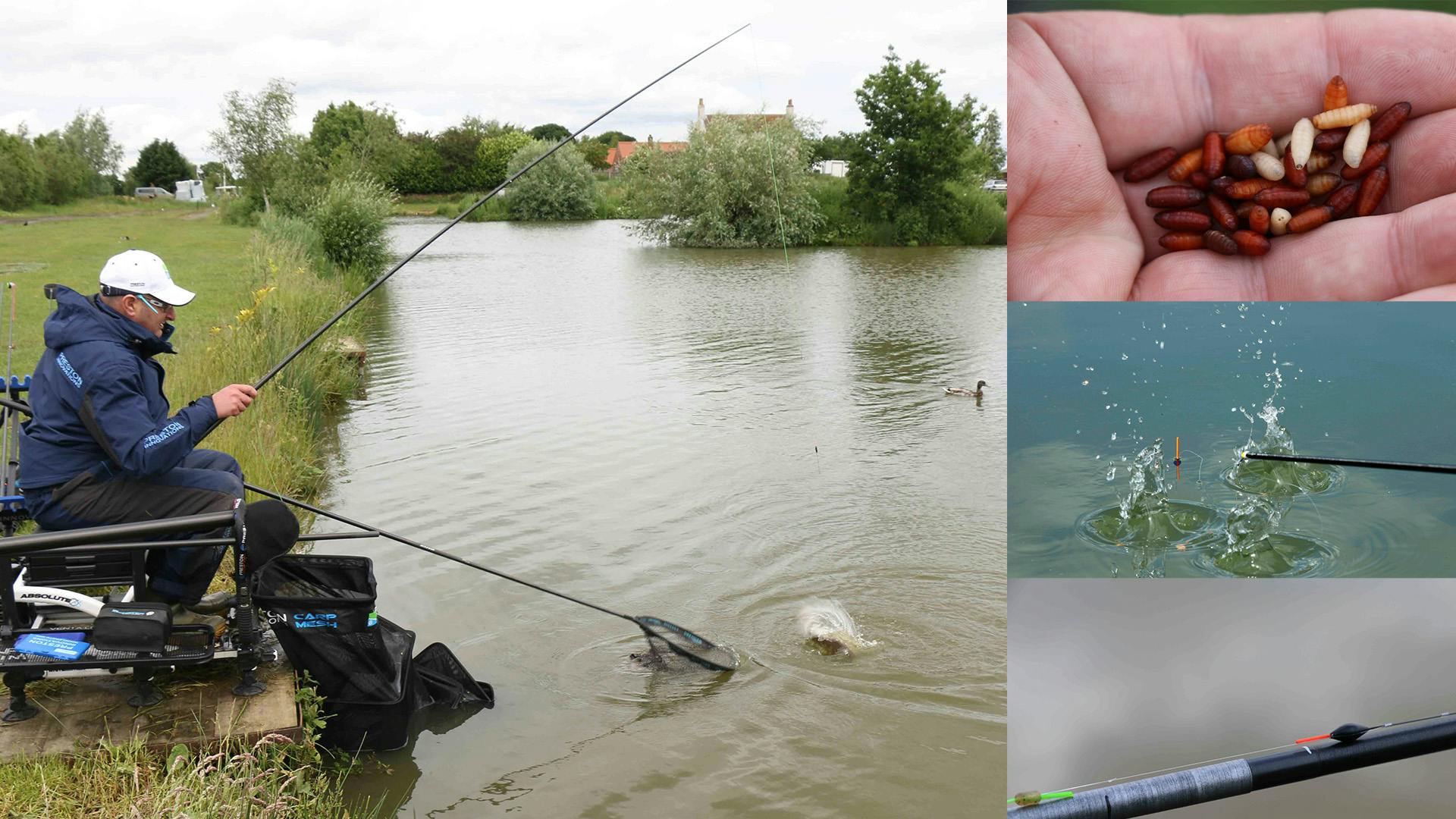 5-tips-for-shallow-fishing.jpg?format=jpg&quality=80&width=960&height ...