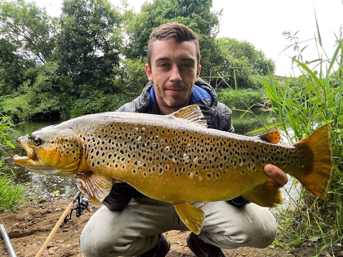 Huge trout from ‘fishless’ Aire – Callum Beer | Angling Times