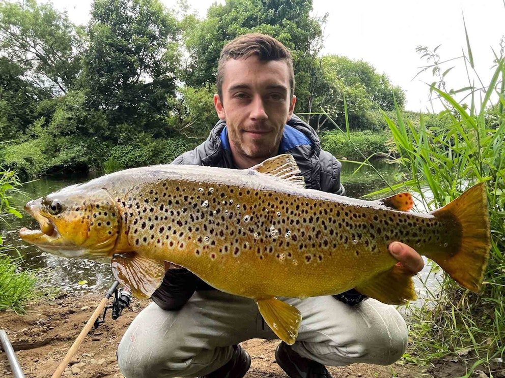 Huge trout from ‘fishless’ Aire – Callum Beer | Angling Times
