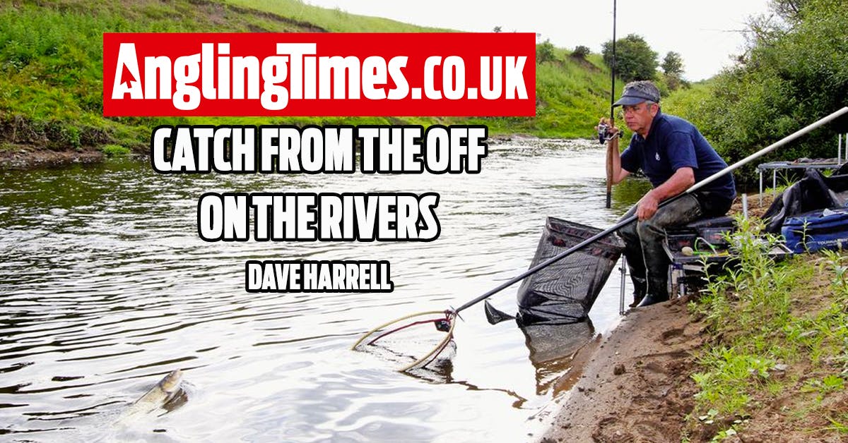 How to tackle early-season rivers – Dave Harrell | Angling Times