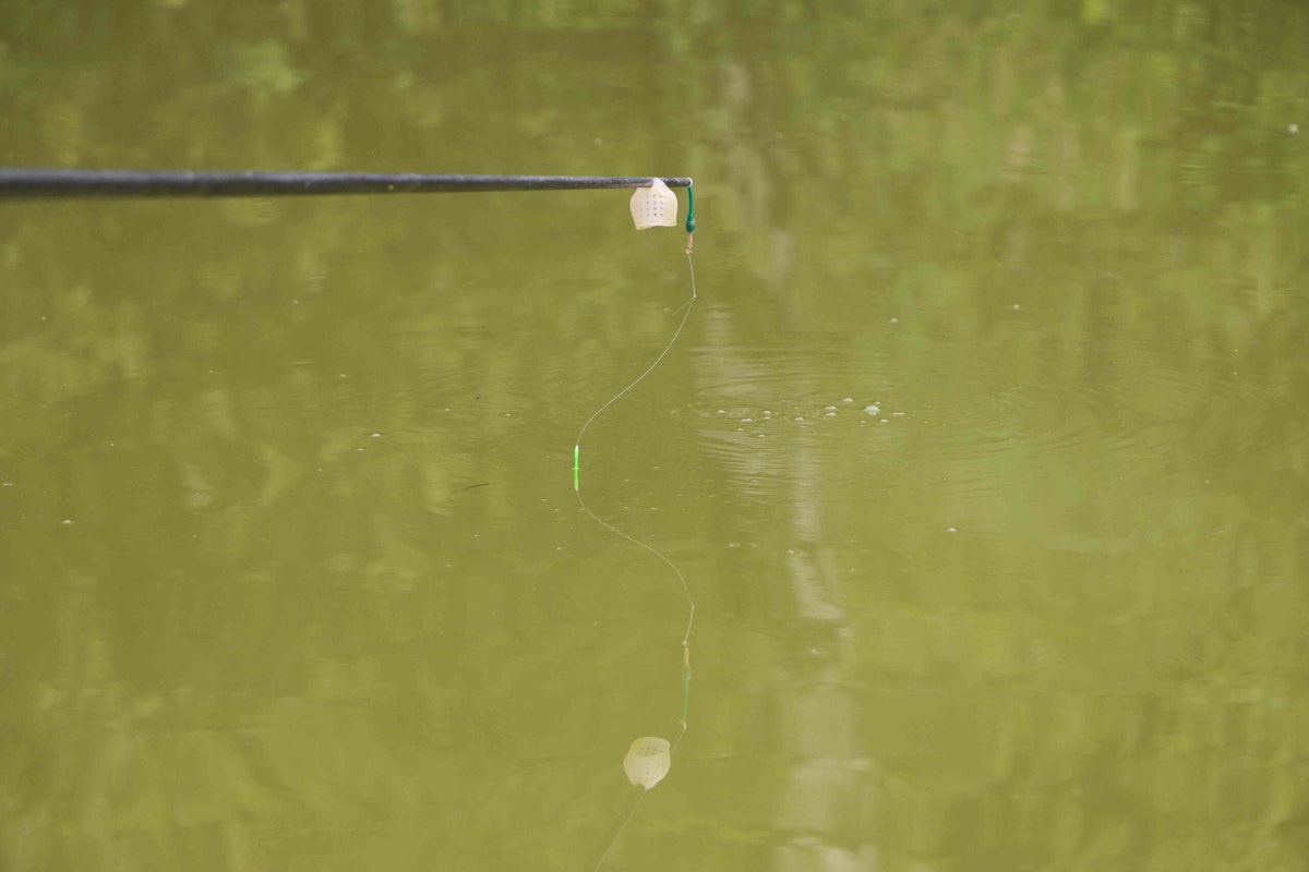 5 Tips for paste fishing | Angling Times