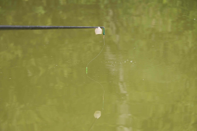 5 Tips for paste fishing | Angling Times