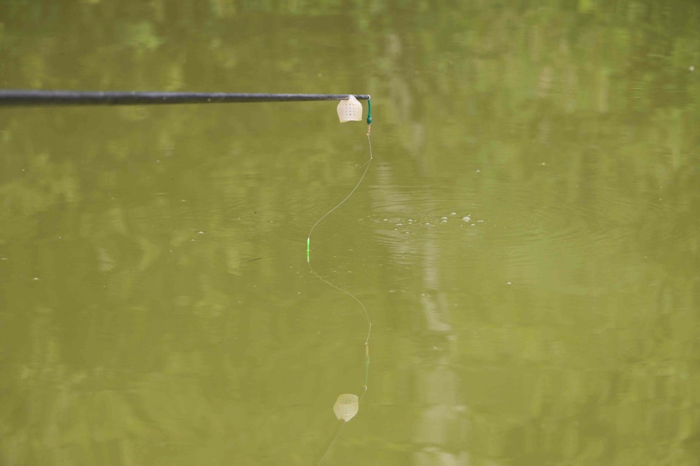 5 Tips for paste fishing | Angling Times