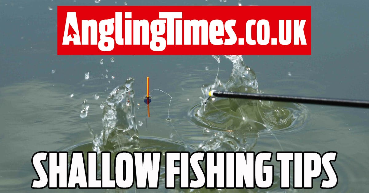 5 essential tips for catching carp shallow