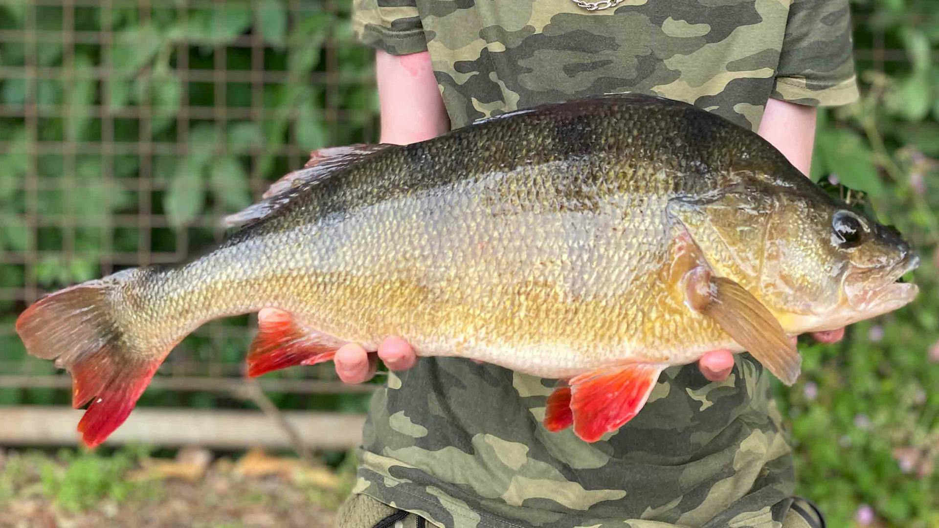 Schoolboy banks Thames beast | Angling Times