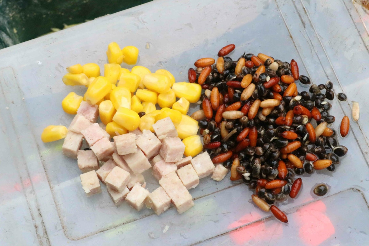 How to fish a float on fast rivers – Chris Holmes | Angling Times