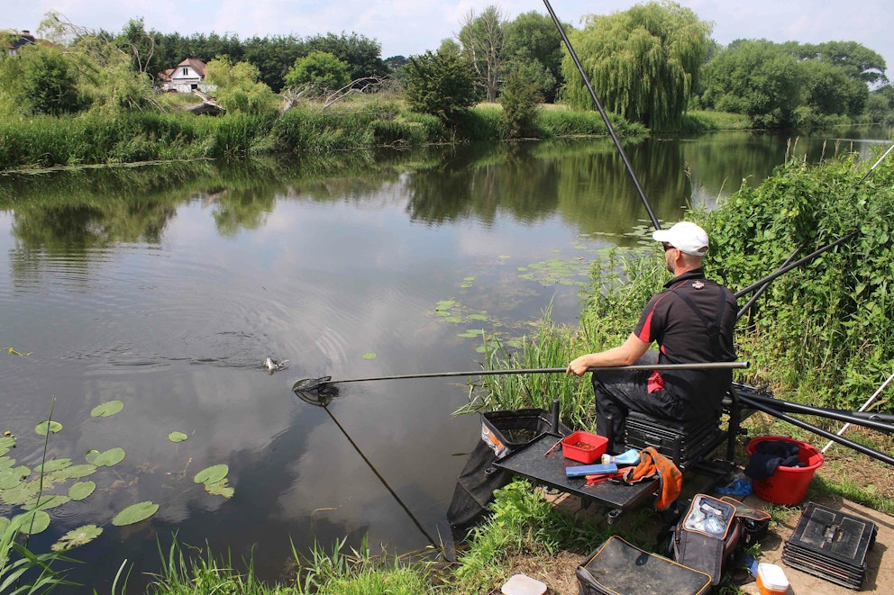 5 Tips for catching river perch | Angling Times