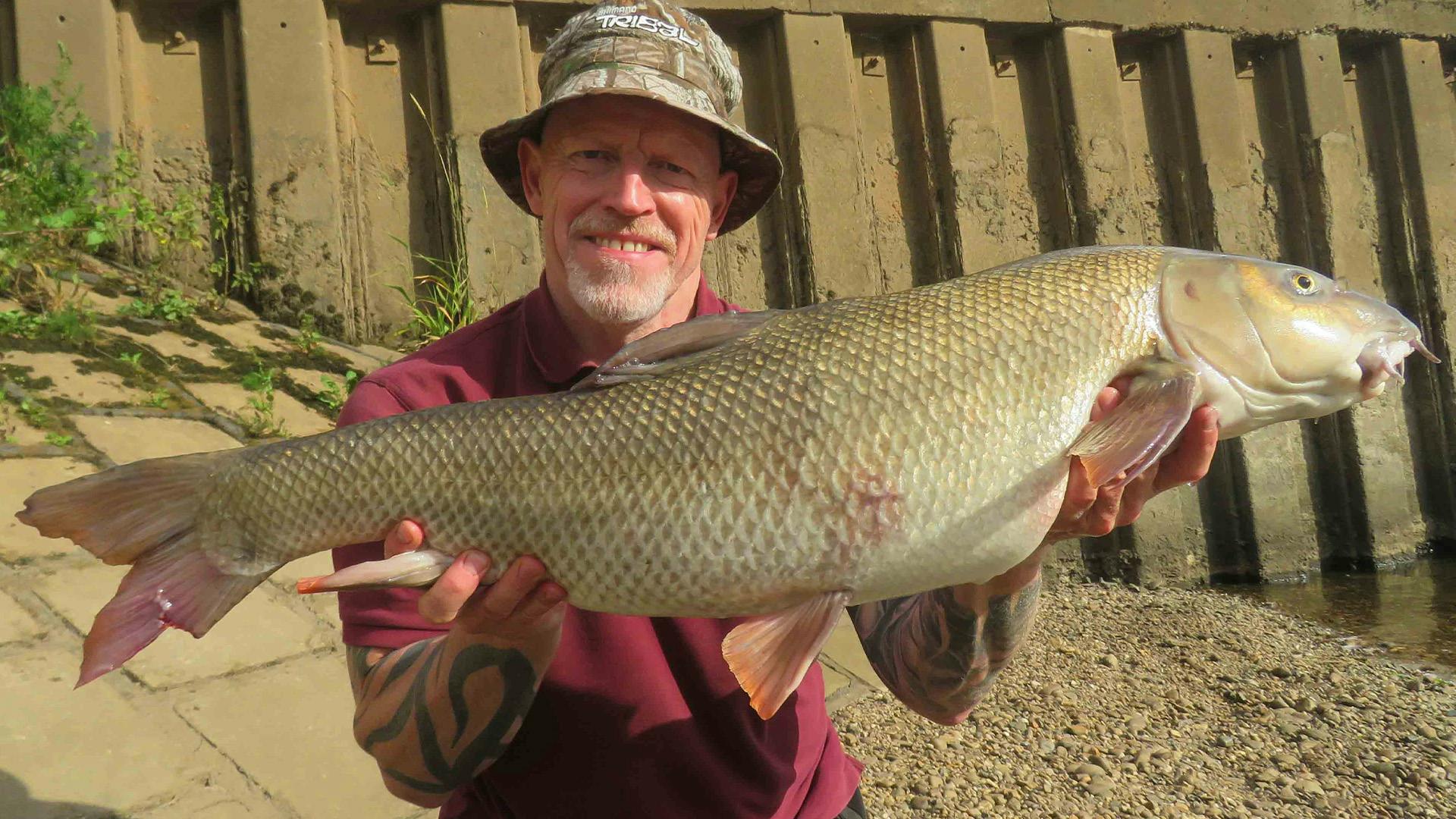 69 barbel in one spectacular session! | Angling Times