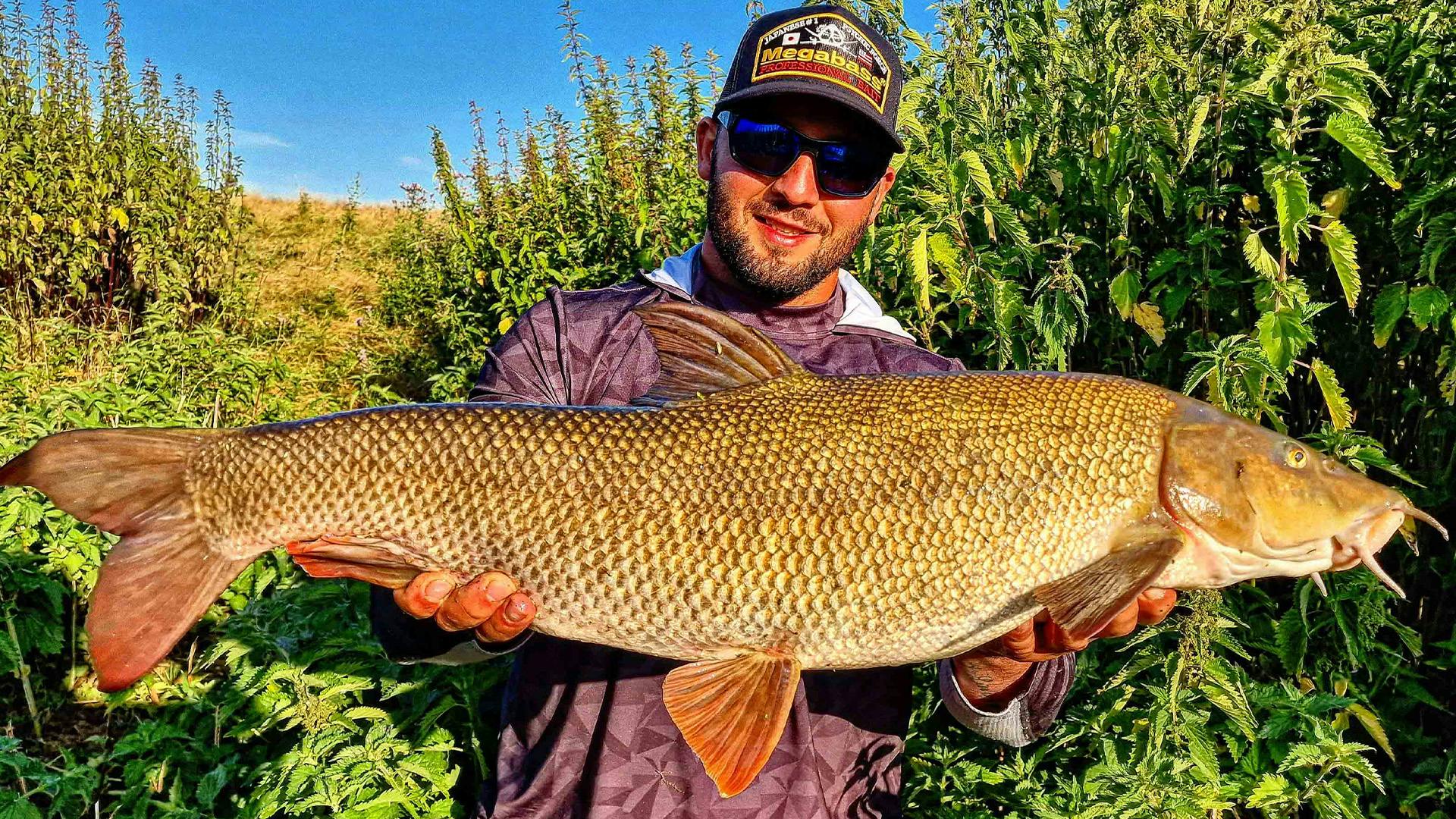Big BARBEL muscles in on lure session! | Angling Times