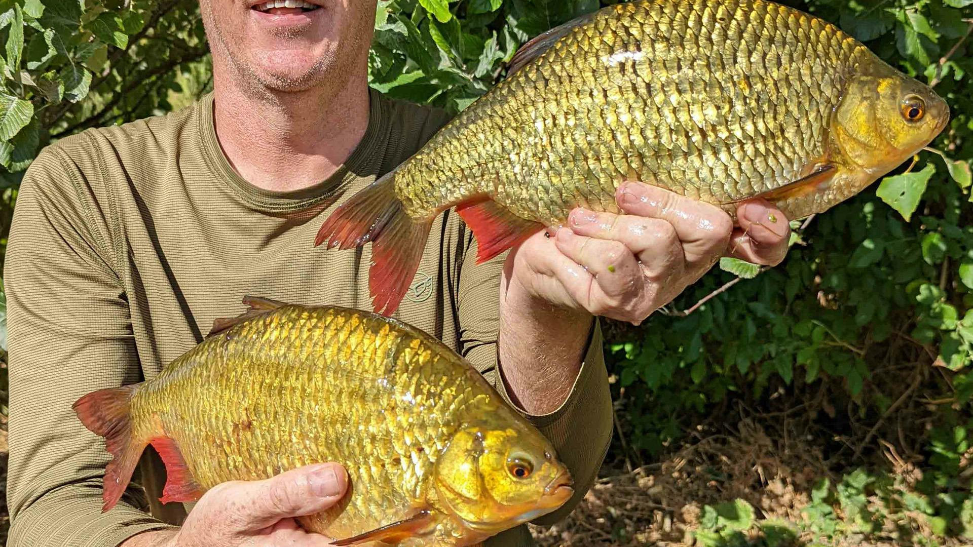 Hours of searching pay off for big rudd brace | Angling Times