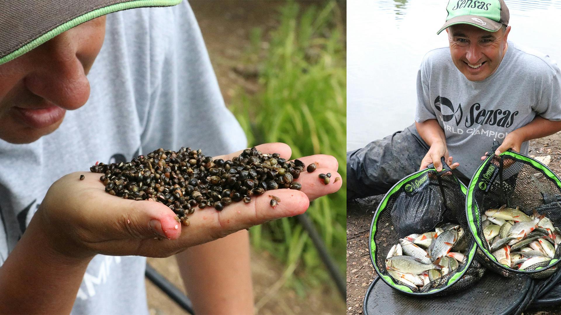 How to catch commercial silvers on the seed | Angling Times