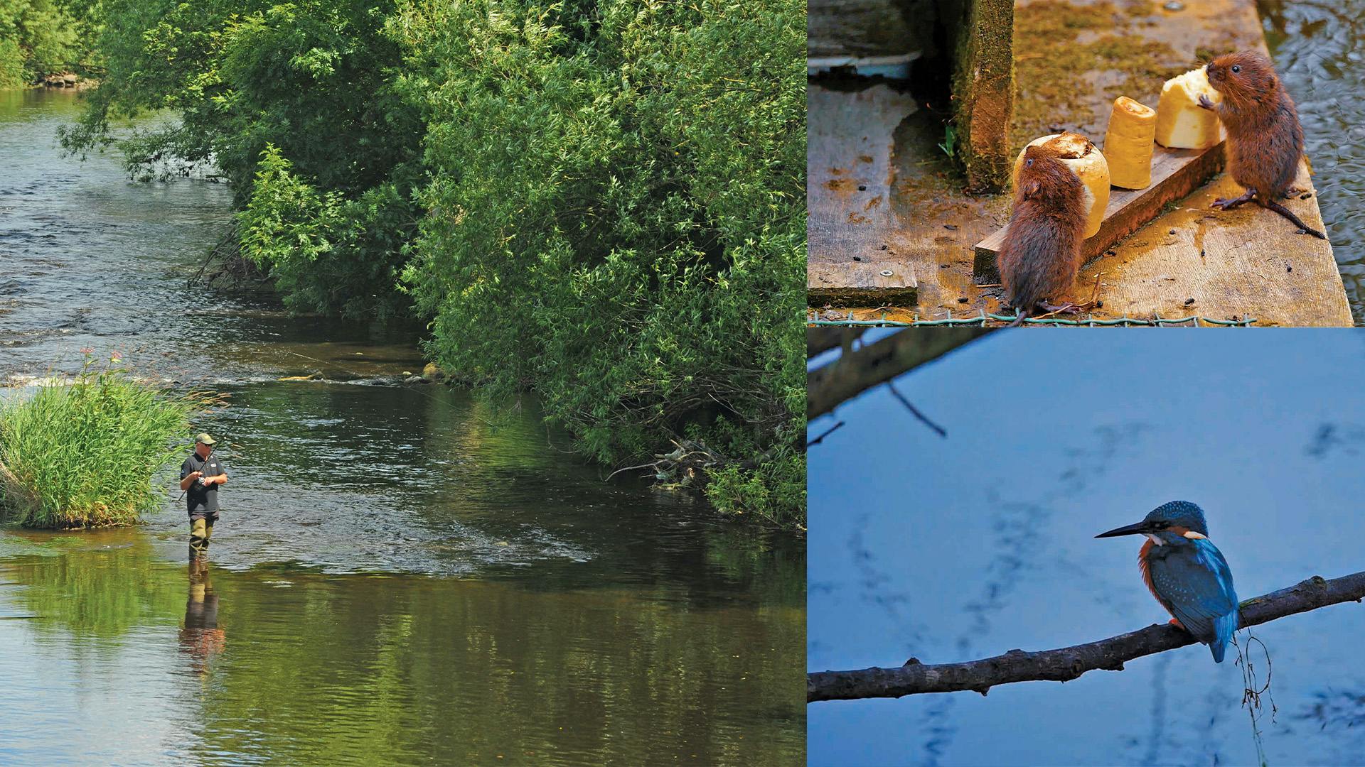 Campaign launched to highlight the beneficial environmental impact of ...