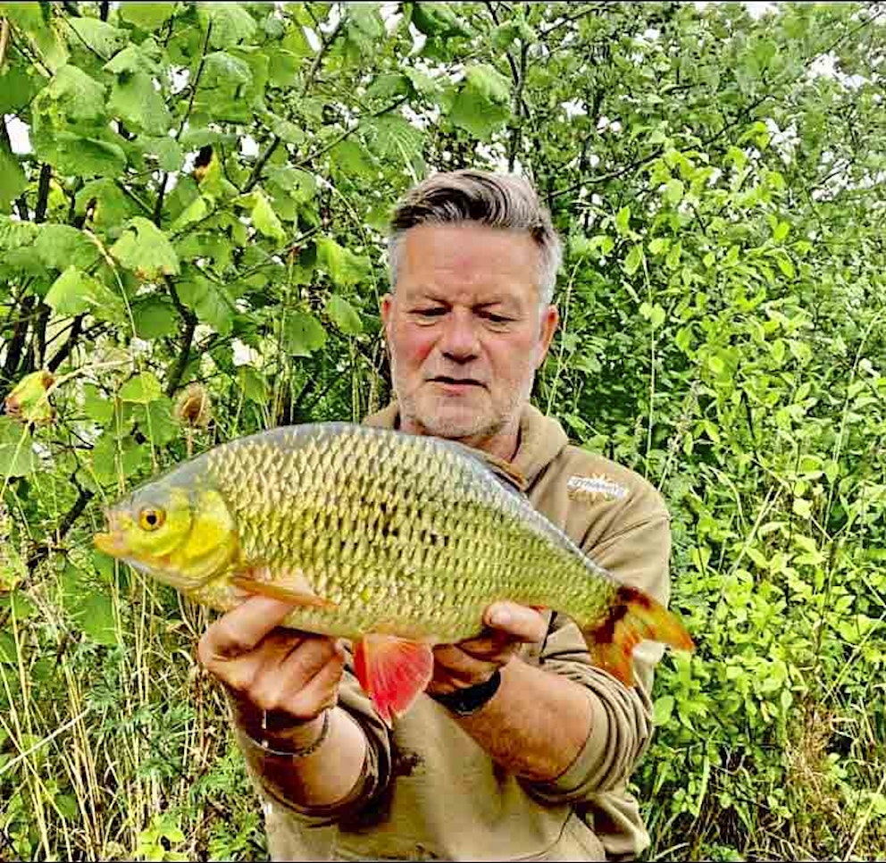 HUGE Yorkshire rudd banked | Angling Times