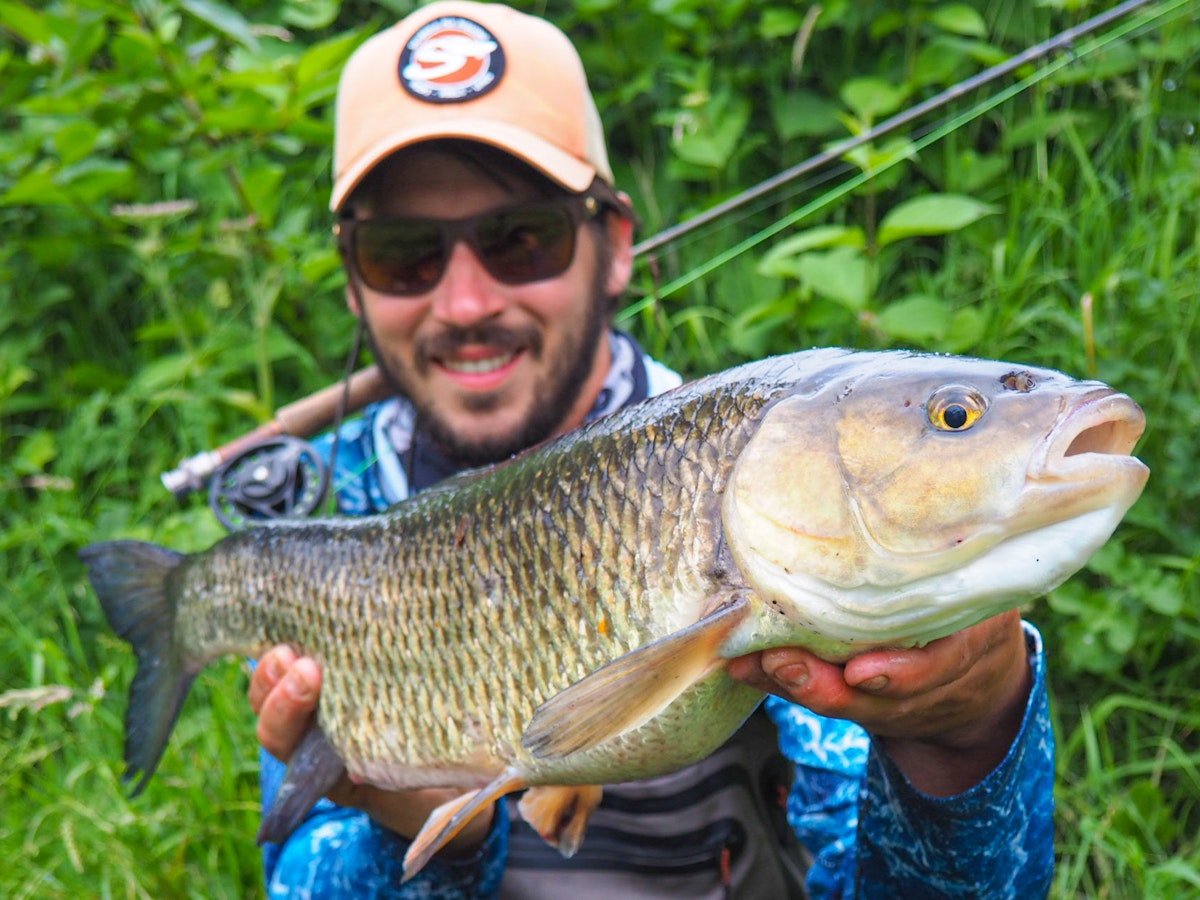 “Switching from lures to flies has transformed my late summer chub ...