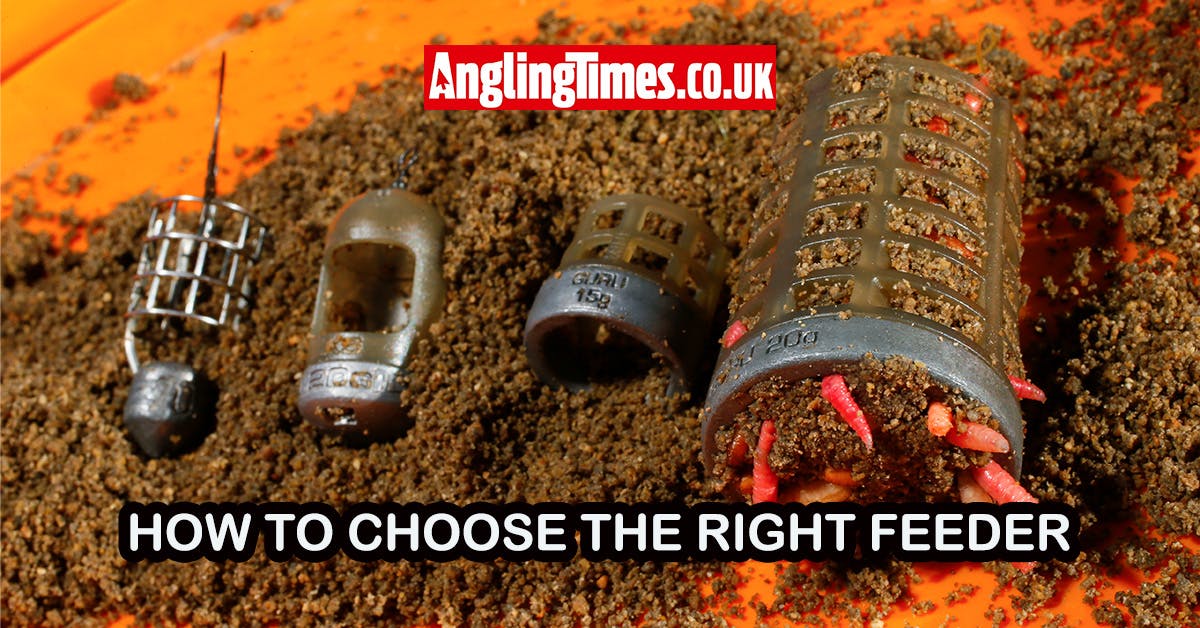 how to Choose the Right Feeder for Fishing