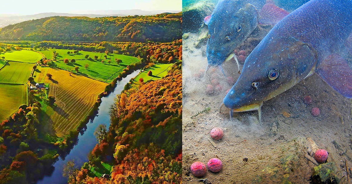 20 Top stretches for BIG BARBEL…on a day ticket! | Angling Times