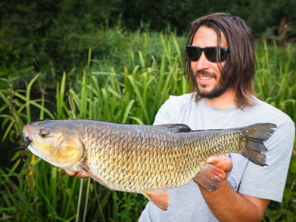 “Switching from lures to flies has transformed my late summer chub ...