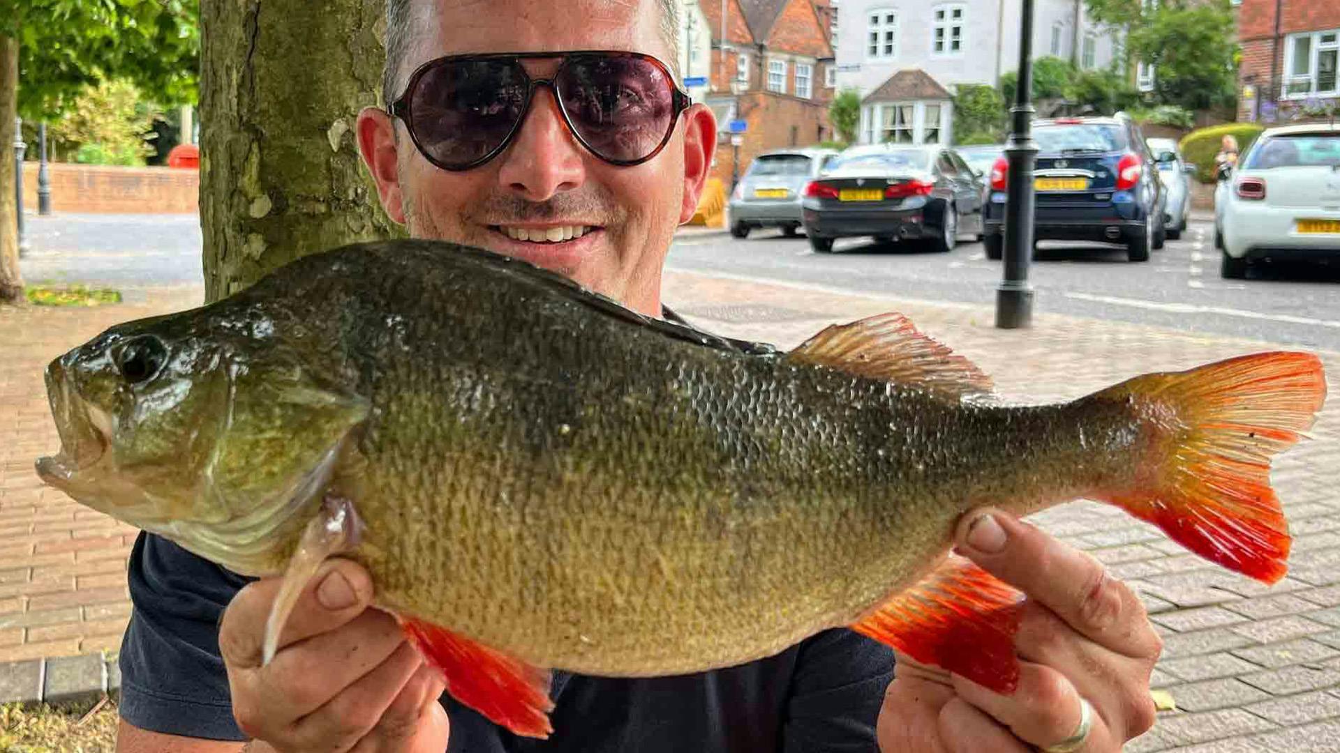 wey-perch.jpg?format=jpg&quality=80&width=960&height=540&ratio=16-9 ...