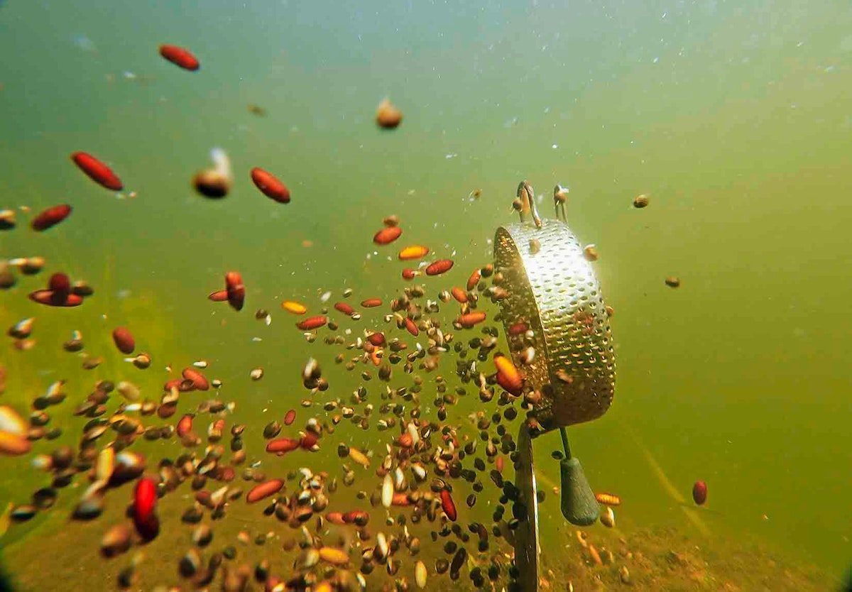 River float fishing tips to help you catch more fish | Angling Times