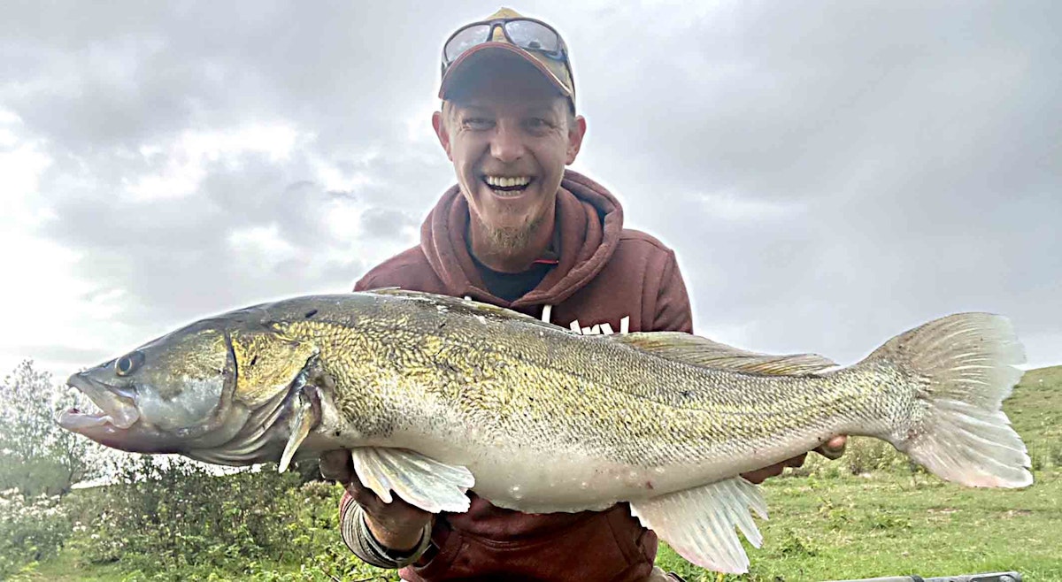 Trent zander banked as the heavens opened | Angling Times