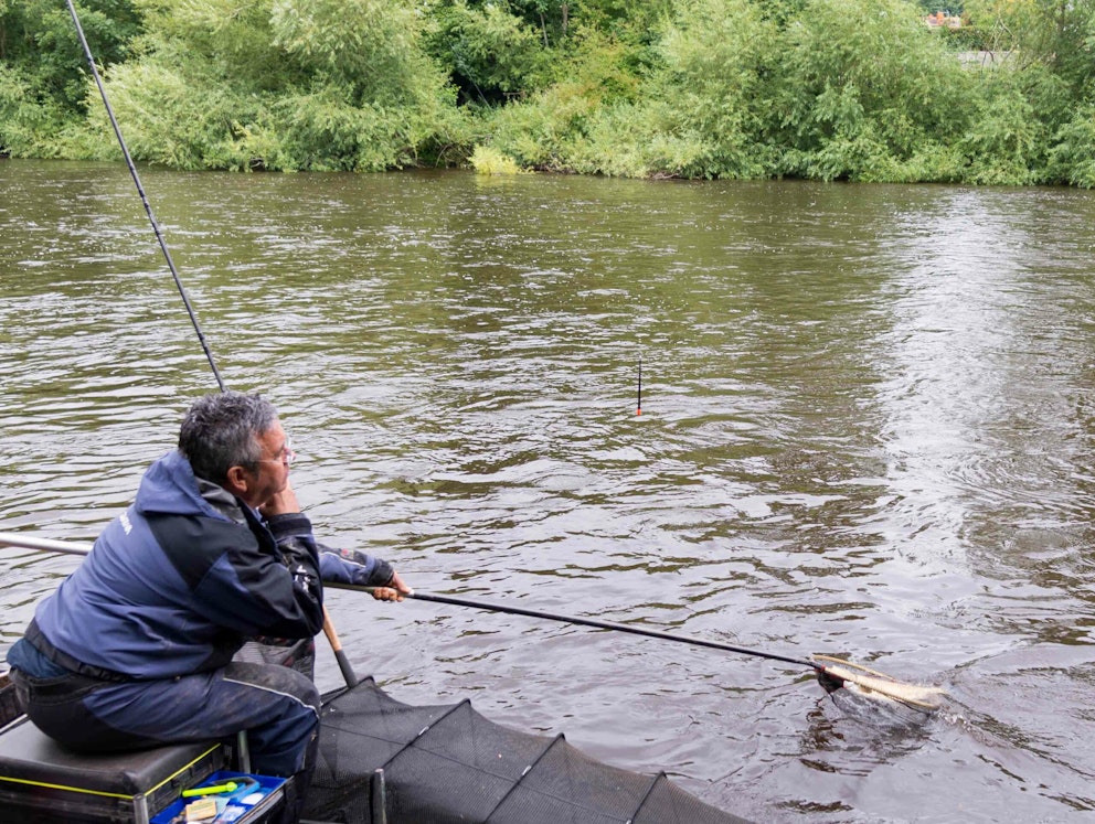 Fishing near me: 10 rivers where you can catch big nets of silvers ...