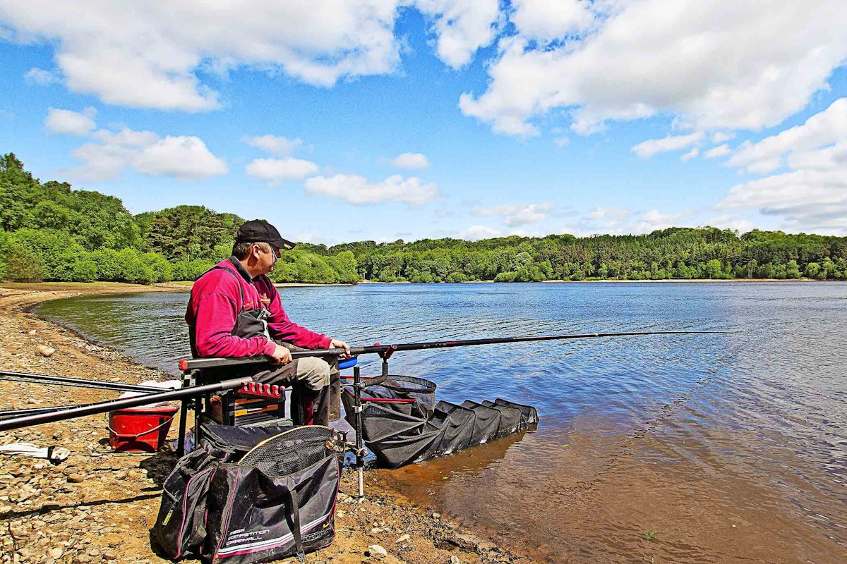 Fishing near me: The best autumn natural bagging waters | Angling Times
