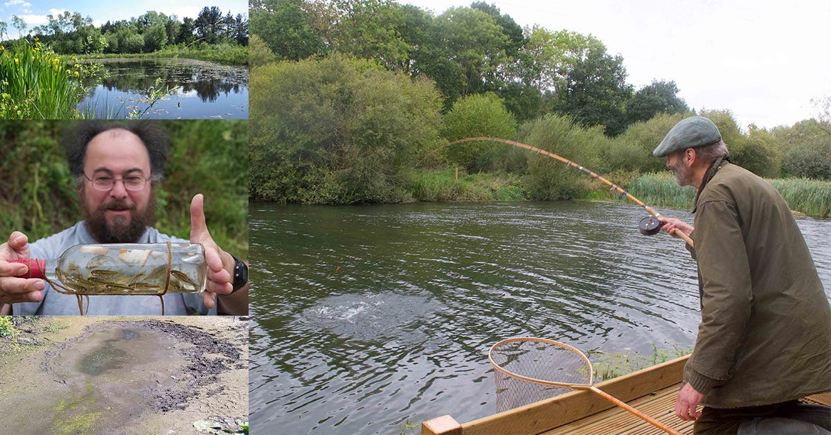 wild-ponds.jpg?format=jpg&quality=80&width=960&height=540&ratio=16-9 ...