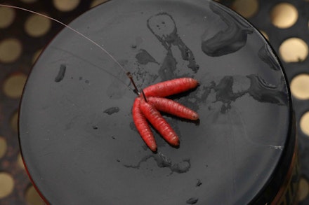 How to fish for bream the ‘old school’ way! | Angling Times