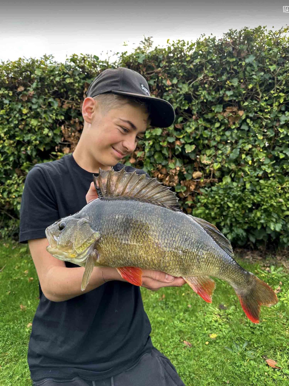 Short session produces MONSTER PERCH | Angling Times